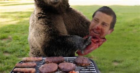 Bear Grills Bear Grylls Imgur