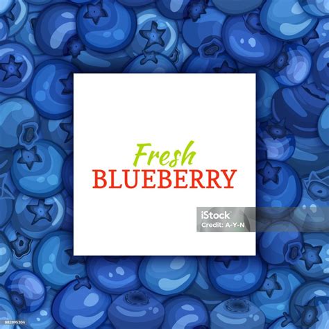 익은 블루베리 베리에 사각 흰색 라벨 나뭇잎 배경 벡터 카드 그림입니다 블루 월 귤 나무속 Beries 신선 하 고 육즙 프레임 포장 주스 아침 차 해독을 위한 다이어트