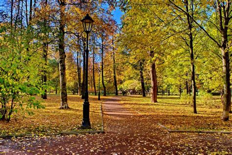 Золотая осень в парке 3 Золотая осень в парке 3 Фотография на