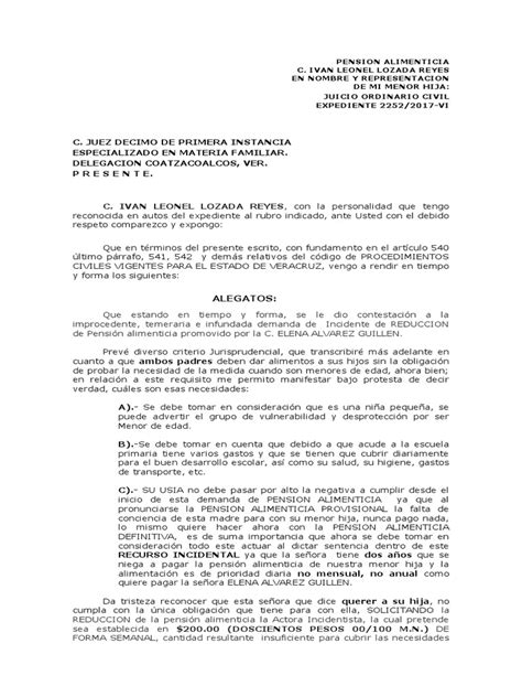 Alegatos De Incidente Sr Leonelsept Pdf Pensión Alimenticia