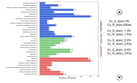 go function classification map of degs the x axis represents the number