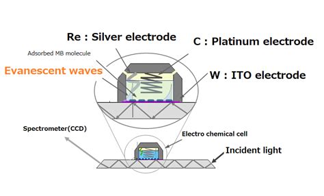 Simultaneous Measurement By Electrochemical Measurement And Waveguide
