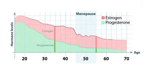Estrogen Progesterone Graph Fileestrogen Progesterone Testosterone