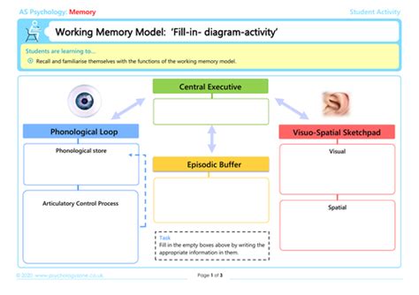 Working Memory Model Powerpoint And Activity Sheets Teaching Resources
