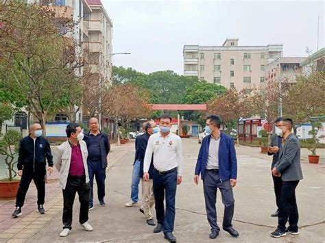 洋青镇：调研督导辖区学校春季开学工作遂溪县人民政府公众网站
