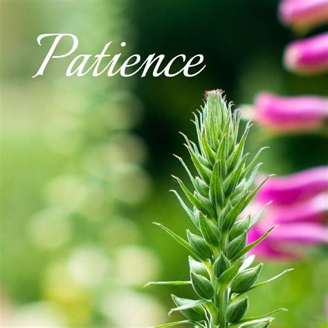 Having Patience Under Stress Church Of Christ Articles