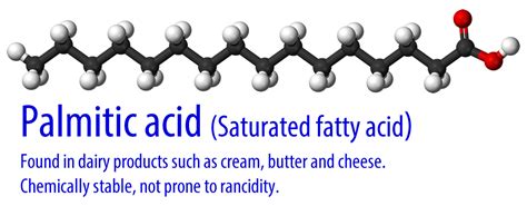 Saturated Vs Unsaturated Fats