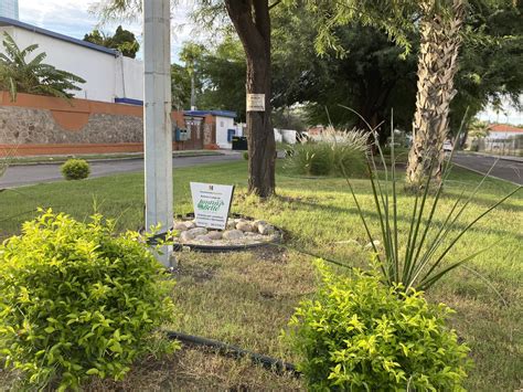 Colonia Pitic on Twitter Así luce el camellón de la avenida Fernández
