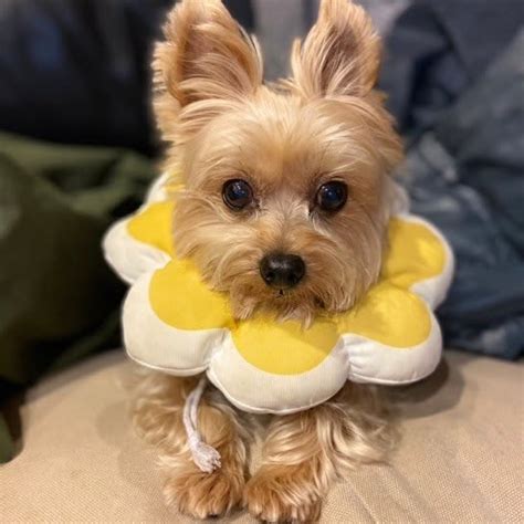 中段以後看到的應該都差不多，中段以前要早點進場 我是因為搶不到看台區，一開始就打定主意要搖滾當看台區參加😆 螢幕很清楚，後面空氣也不會悶有空間可以亂跳舞，我是很enjoy這個氛圍也很嗨啦