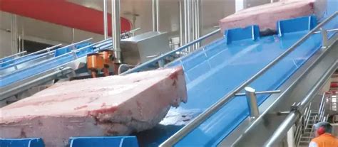 Meat Processing Conveyor Belt Selection Volta