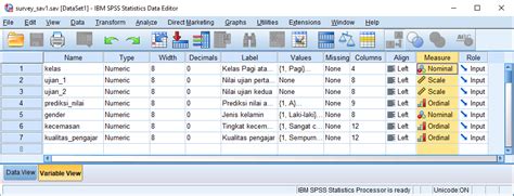 Cara Mengolah Data Dengan Spss Riset