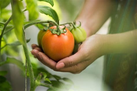 Vedant Parashar On Linkedin Pmfby Farmersfirst Agriculture