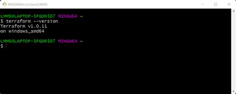 Fix Terraform Not Running Even When Added To Path Environment Variable