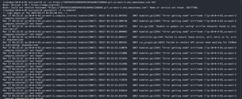 21 Minutes Error Waiting For Eks Node Group To Create Unexpected