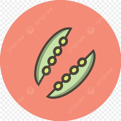 Vector Beans Icon Beans Clipart Bean Beans Png And Vector With