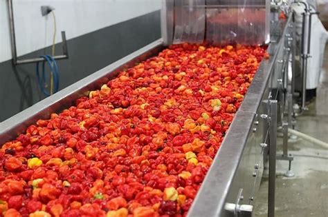 How Has Cold Pasteurization Helped The Food And Drink Industry