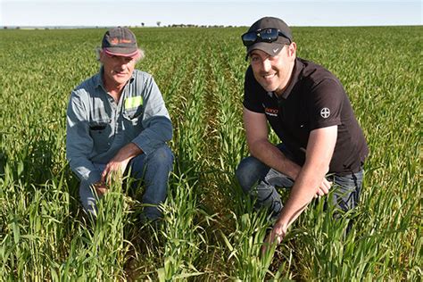 The Purpose Of Broadleaf Herbicide Fashion Monster