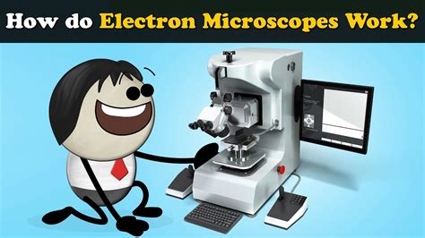 Scanning Electron Microscope How It Works At Spencer Ebert Blog