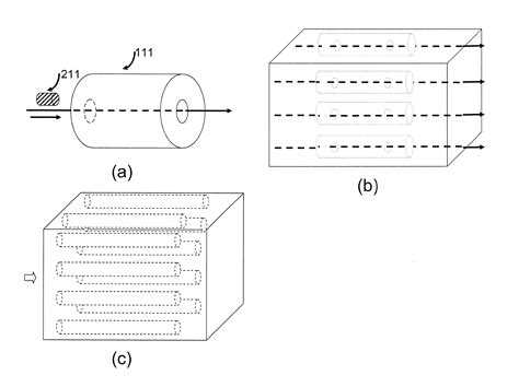 Apparatus For Disease Detection Eureka Patsnap