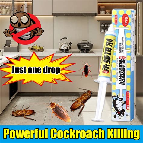 Cockroaches Killer Infectious Death Killing The Entire Cockroach Nest