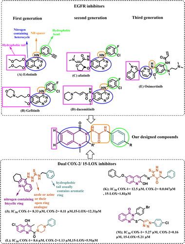 Full Article Triple Targeting Of Mutant Egfrl858rt790m Cox 2 And 15