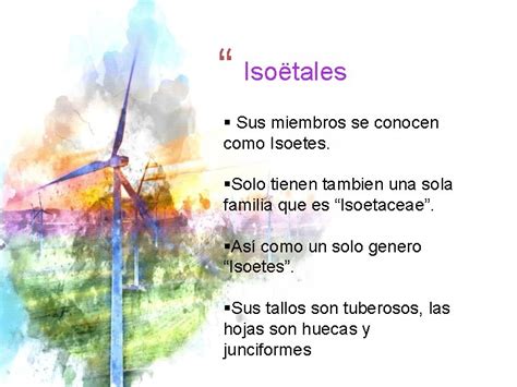 Importancia Biolgica Y Econmica De Lycophyta Y Monilophyta