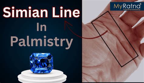 How To Read Palm Lines A Complete Guide To Palm Reading