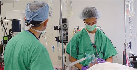 Department Of Anesthesiology College Of Medicine Jacksonville