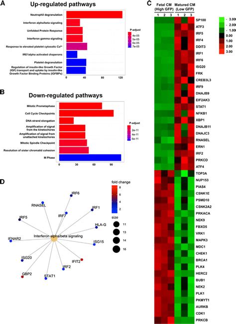 Bulk Rna Sequencing Analysis Of Differential Expressed Genes And Download Scientific Diagram