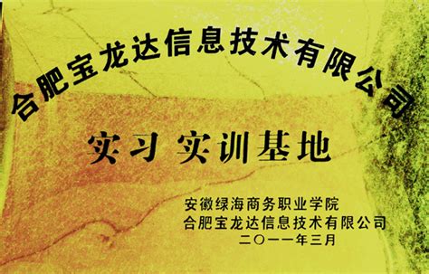 合肥宝龙达信息技术有限公司实习基地 安徽绿海商务职业学院