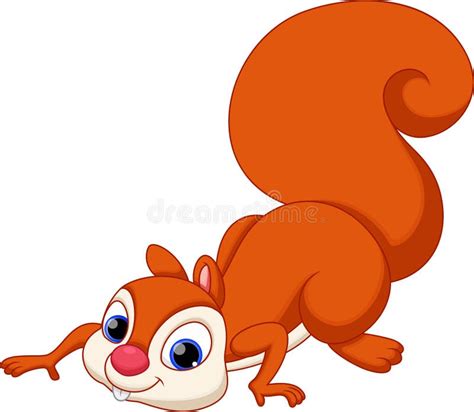 Cute Squirrel Cartoon With A White Background Stock Illustration