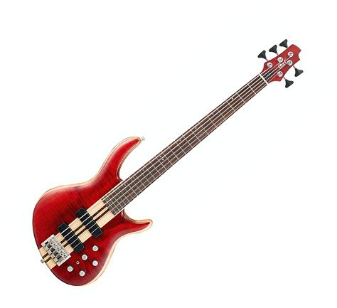 Bass Review For Bassist Cort A5 5 String Bass