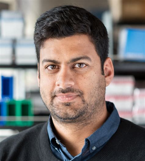 Ansuman Satpathy Gladstone Institutes