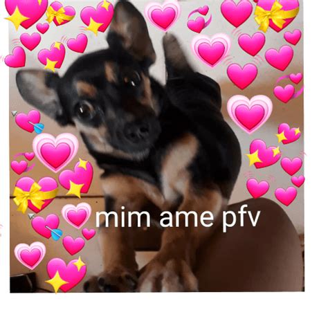 Melzinha