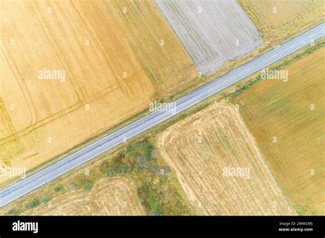 Aerial Top View With Drone Of A Road Between Agricultural Fields In
