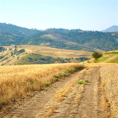 Sell Land Buy Land AcrePro