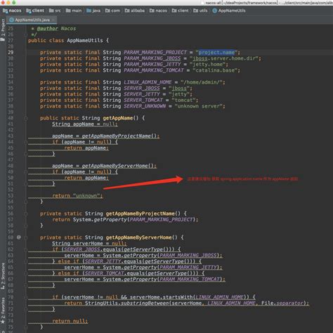 nacos 订阅者列表应用名unknown · issue 3215 · alibaba nacos · github