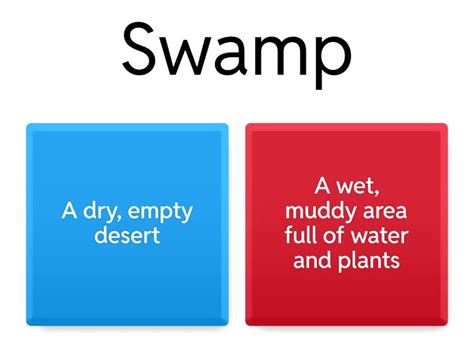 What Does It Mean Adv Quiz