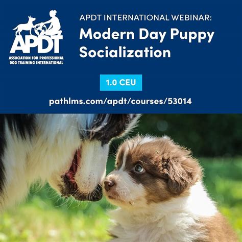 Apdt International Apdt International • Instagram Photos And Videos