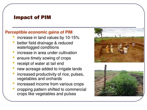 Ppt Falendra Kumar Sudan Department Of Economics University Of Jammu India Jennifer Mckay