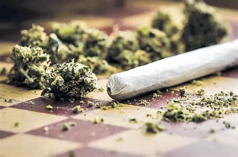912 Kgs Of Ganja Seized Police Arrest Two In Major Drug Bust