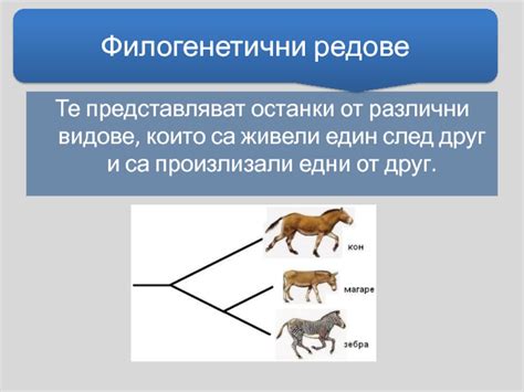 Доказателства за еволюцията