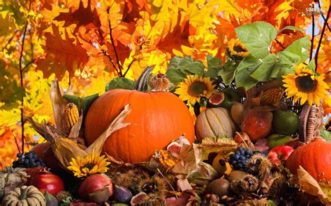 Autumn Leaves With Pumpkins Wallpapers Wallpaper Cave