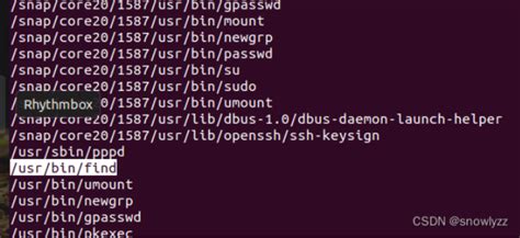 SUID提权 hello bao 博客园