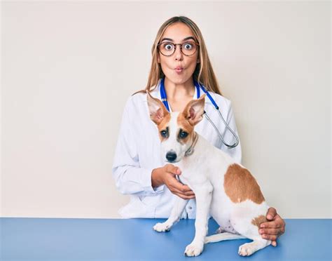 Premium Photo Young Beautiful Blonde Veterinarian Woman Checking Dog