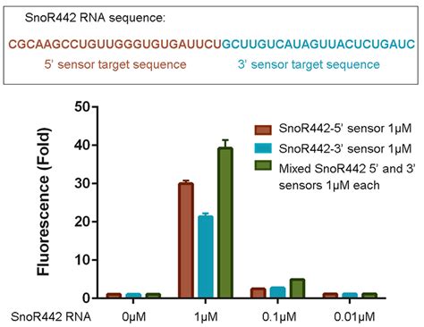 Pandan Sensors For Detection Of Snorna Fluorescence Intensity Fold