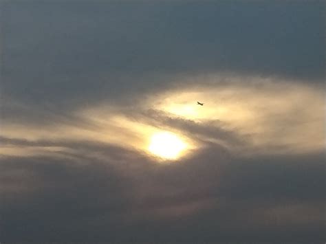 K・o On Twitter こんばんは。 今日の夕方の空 1600時位にハロが見られました。 夕方は雲助だらけでしたが、地上すれすれで