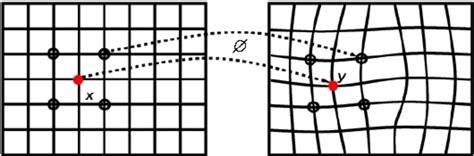 Principle Of Image Warping By Diffeomorphism Download Scientific Diagram