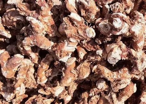 Galangal Roots Packaging Type Bags Packaging Size 50kg At ₹ 120