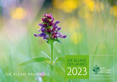 Loki Schmidt Stiftung Kalender Zur Blume Des Jahres 2023